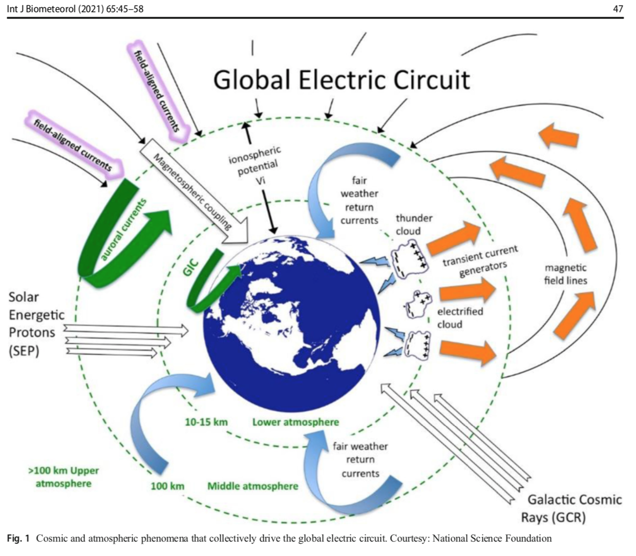 Global electric circuit and biological systems – Gaia Campus